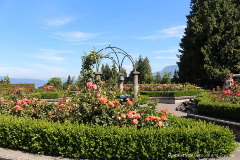 Roses at a Vancouver University Campus | Destinations Detours and Dreams