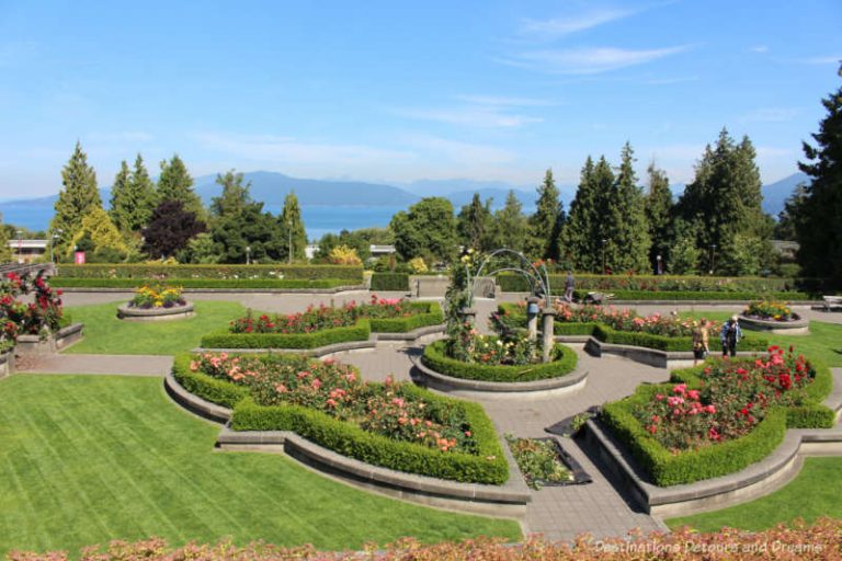 Roses at a Vancouver University Campus | Destinations Detours and Dreams