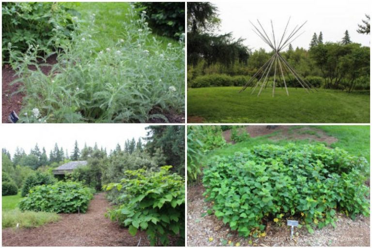University of Alberta Botanic Garden: Garden In A Forest | Destinations ...