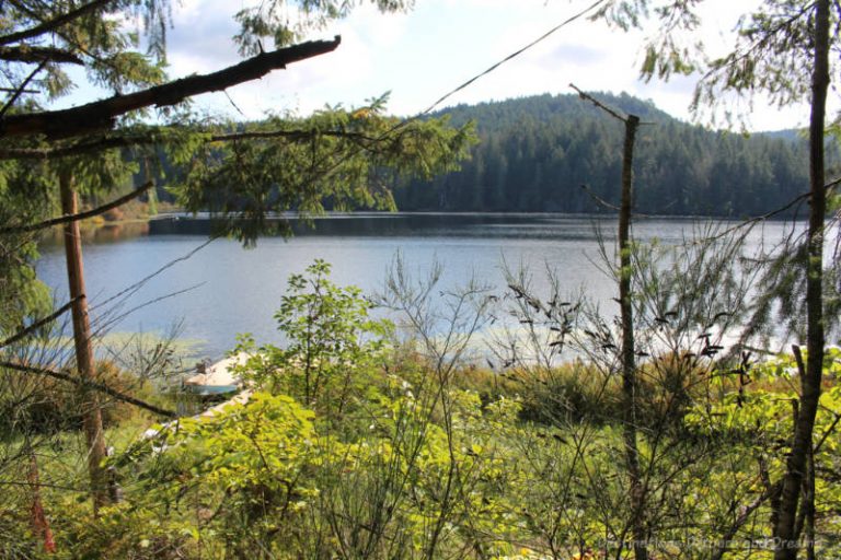 Visiting Salt Spring Island | Destinations Detours and Dreams