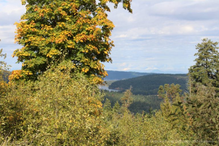 Visiting Salt Spring Island | Destinations Detours and Dreams