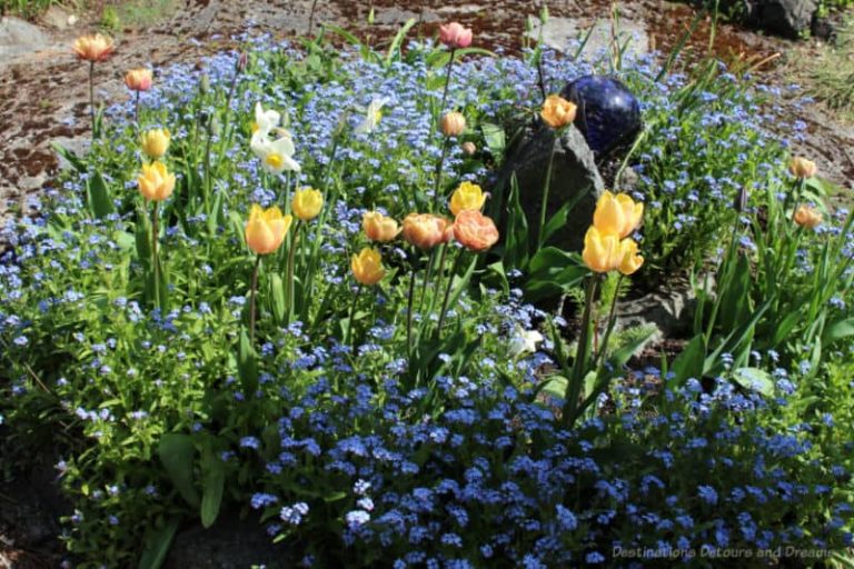 Helen Stewart Garden In Victoria | Destinations Detours and Dreams