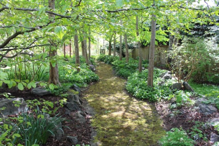 Helen Stewart Garden In Victoria | Destinations Detours and Dreams